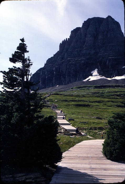 Hidden Lakes Train, Glacier NP, Montana